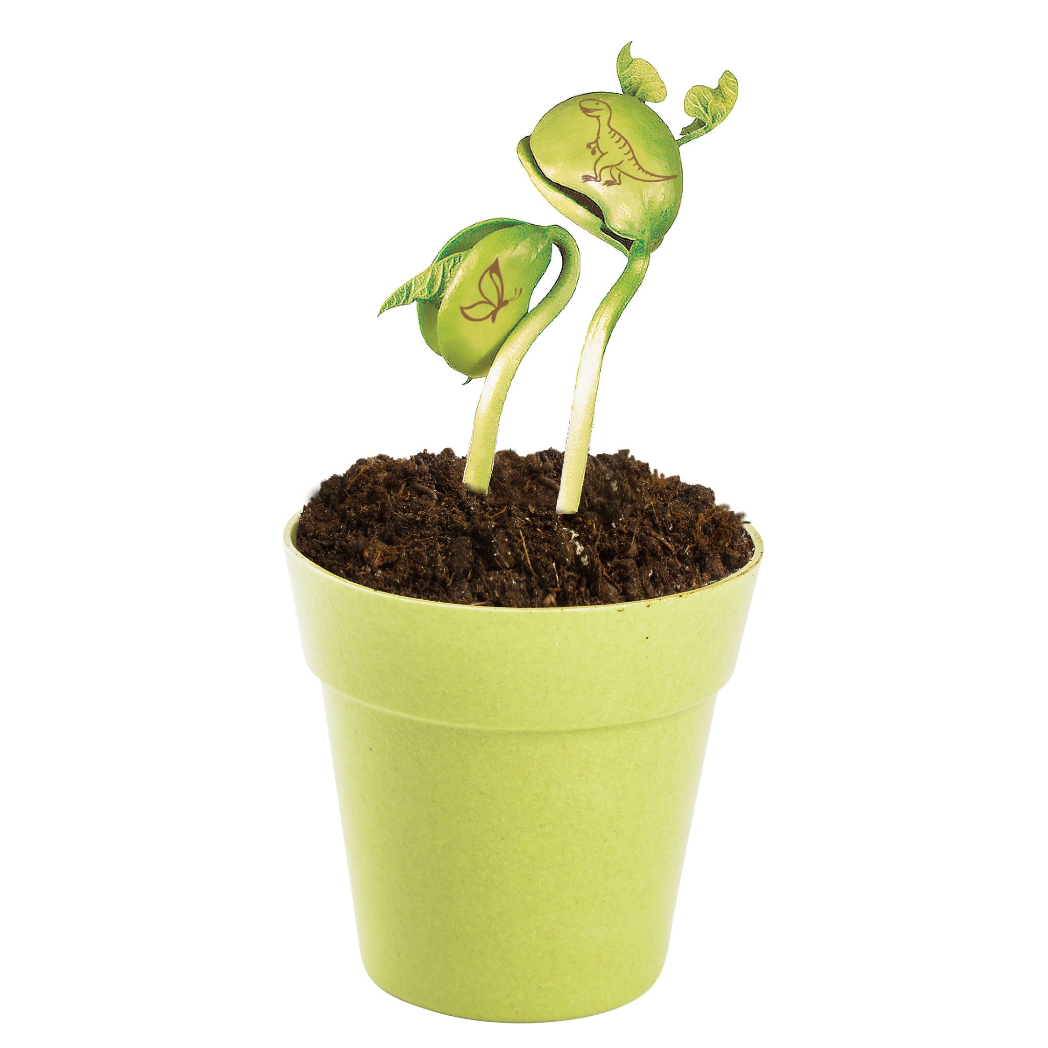 Professor Plums | Science and Educational Toys | Gifts for Geeks
