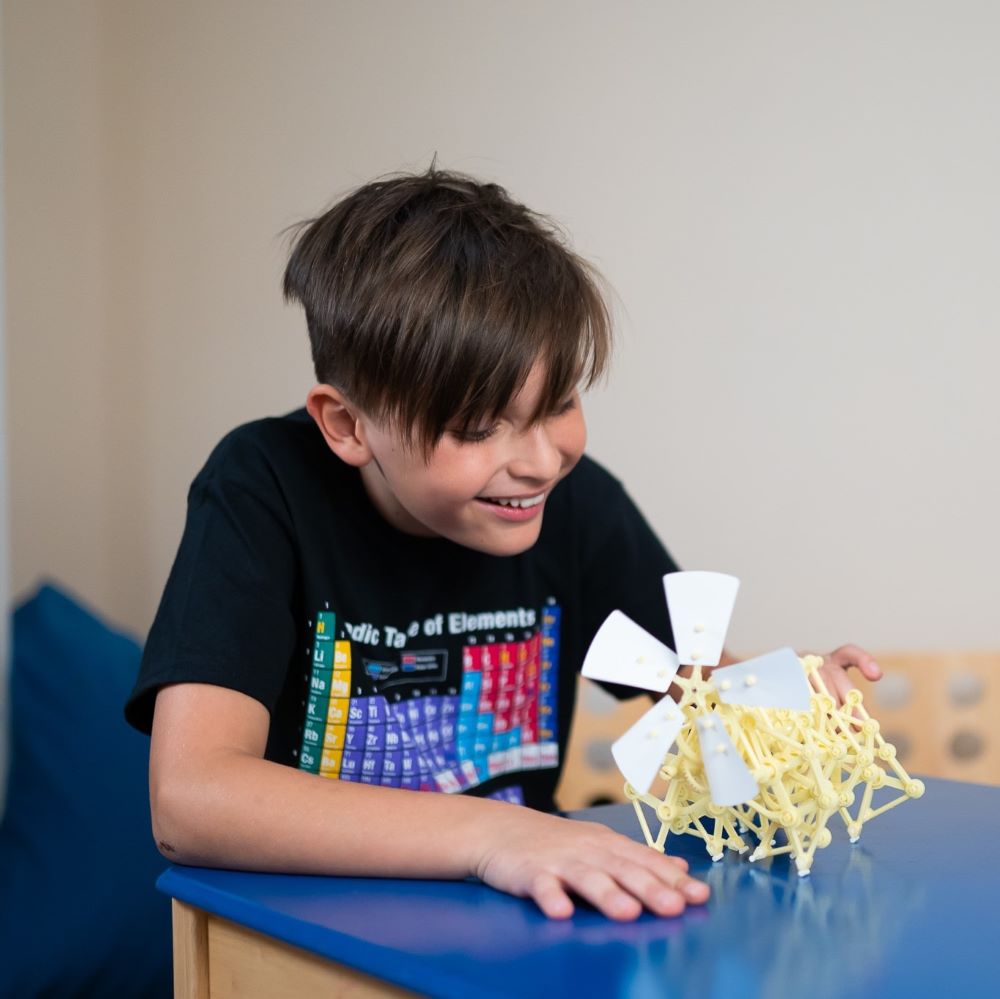 Wind Walker DIY Walking Machine — Professor Plums