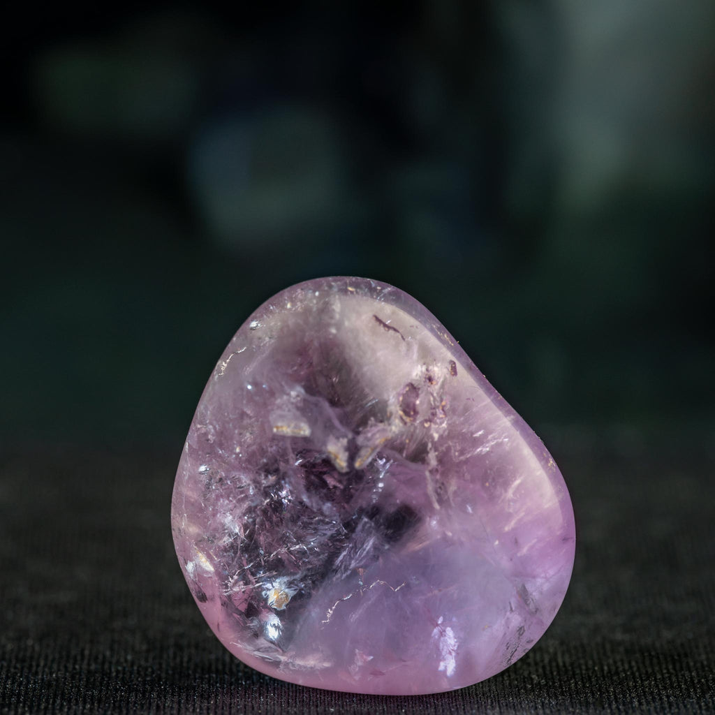 Professor Plum's entire range — Professor Plums