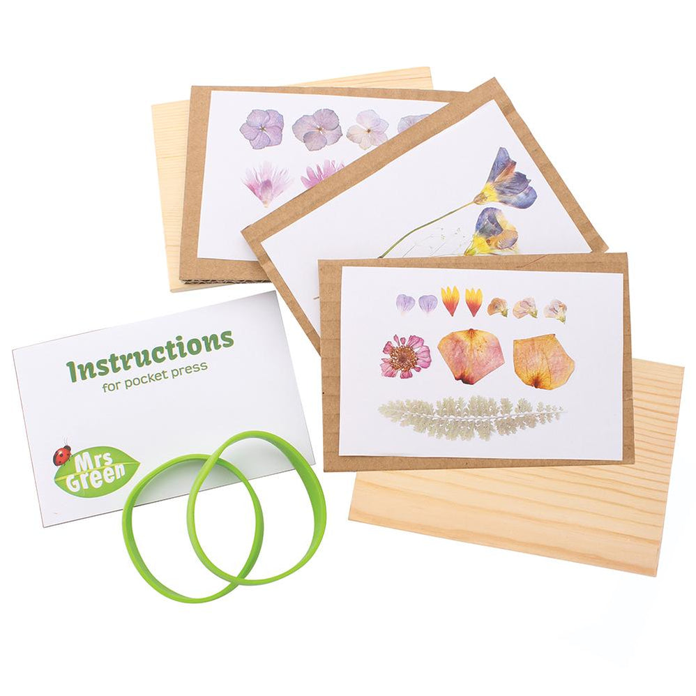 Professor Plums | Science and Educational Toys | Gifts for Geeks