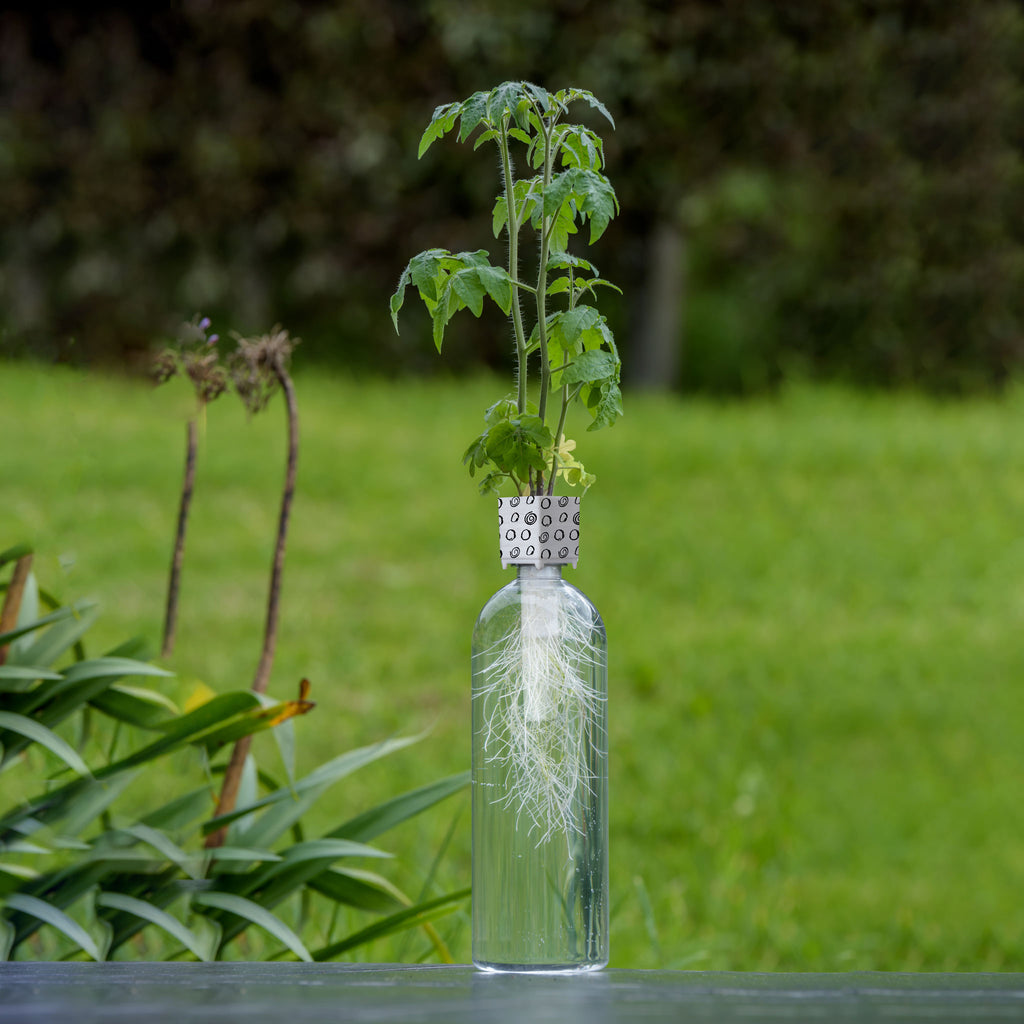 Professor Plums | Science and Educational Toys | Gifts for Geeks