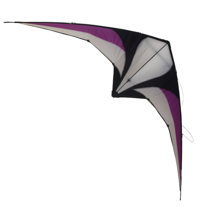 High as a Kite 2 String Kite Raptor — Professor Plums
